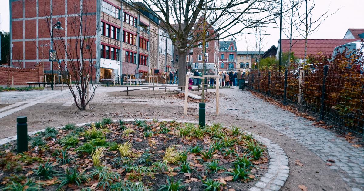 Haraldas Plads | Roskilde Bibliotekerne